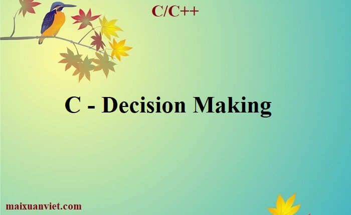 C - Decision Making - VietMX's Blog C - Decision Making - VietMX's Blog