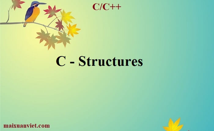 C Structures Vietmxs Blog