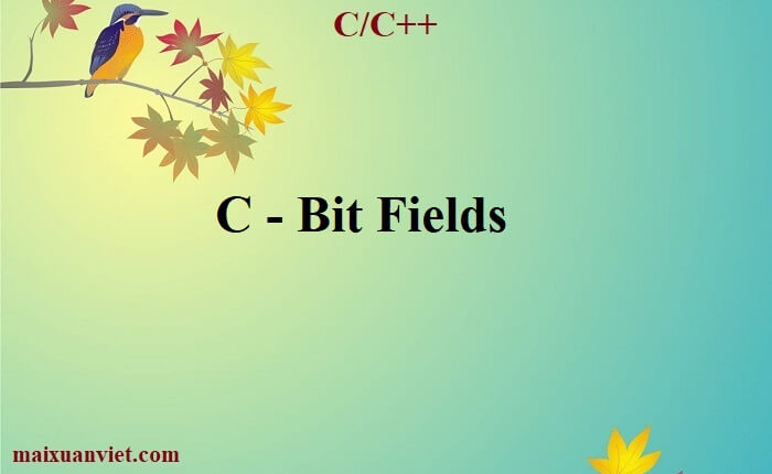 C - Bit Fields - VietMX's Blog