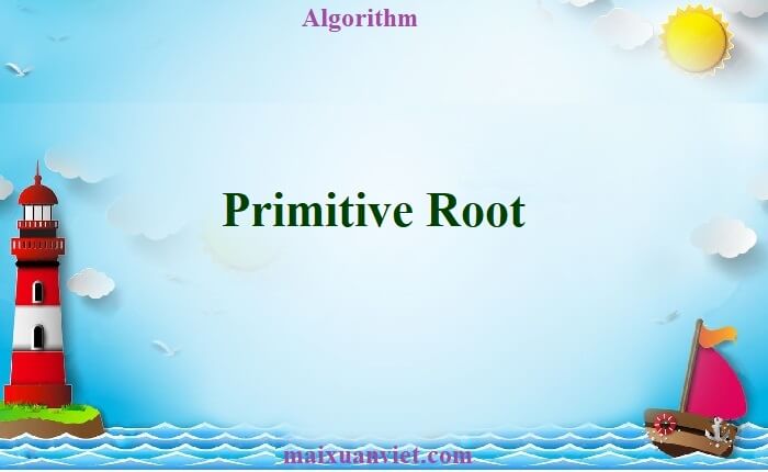 Primitive Root - VietMX's Blog