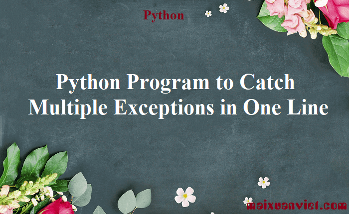 Python Program To Catch Multiple Exceptions In One Line Vietmxs Blog