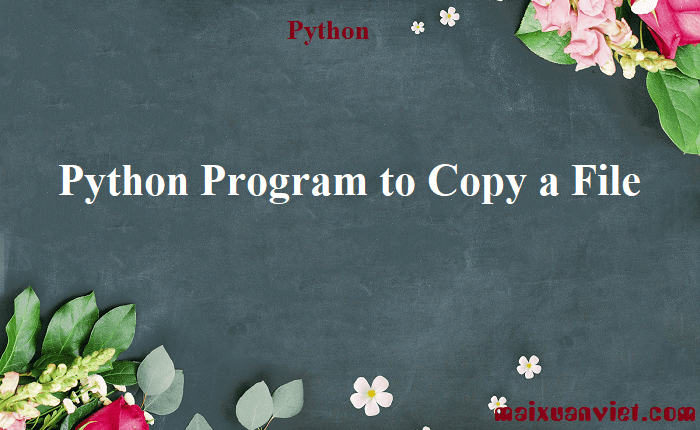 Python Program To Copy A File Vietmxs Blog 