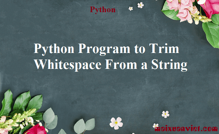 python-program-to-trim-whitespace-from-a-string-vietmx-s-blog
