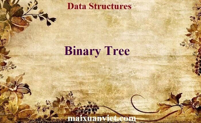 Binary Tree - VietMX's Blog Binary Tree - VietMX's Blog